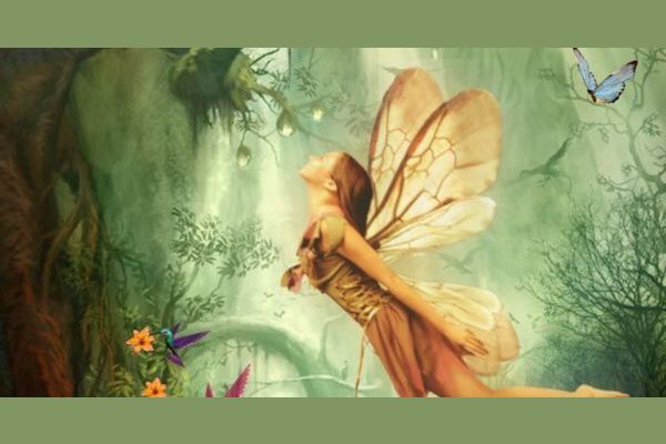 What type of fairy are you?