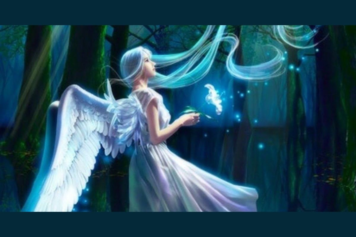 What type of fairy are you?