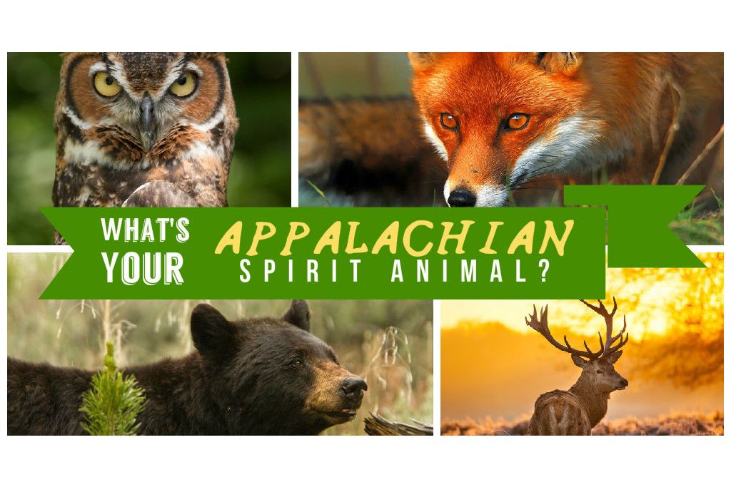 What's Your Appalachian Spirit Animal?