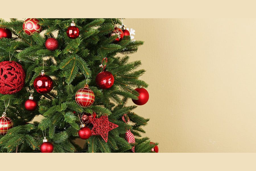 Are you a Grinch or a Who?