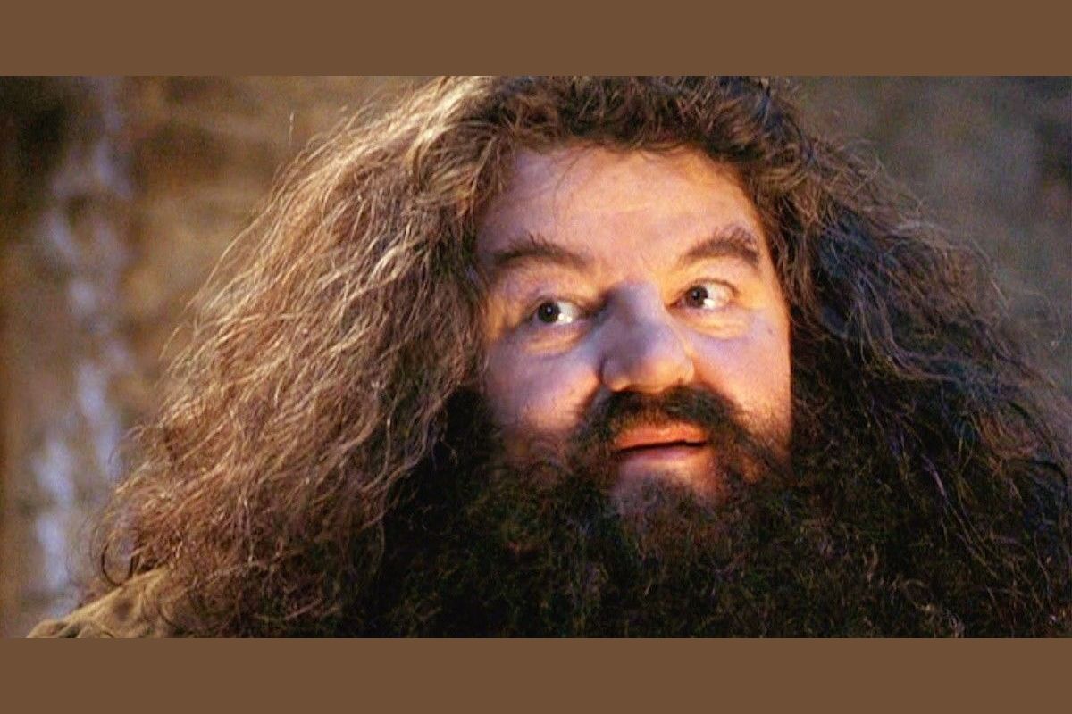 TRIVIA: ¿Qué tan bien conoces a Rubeus Hagrid?