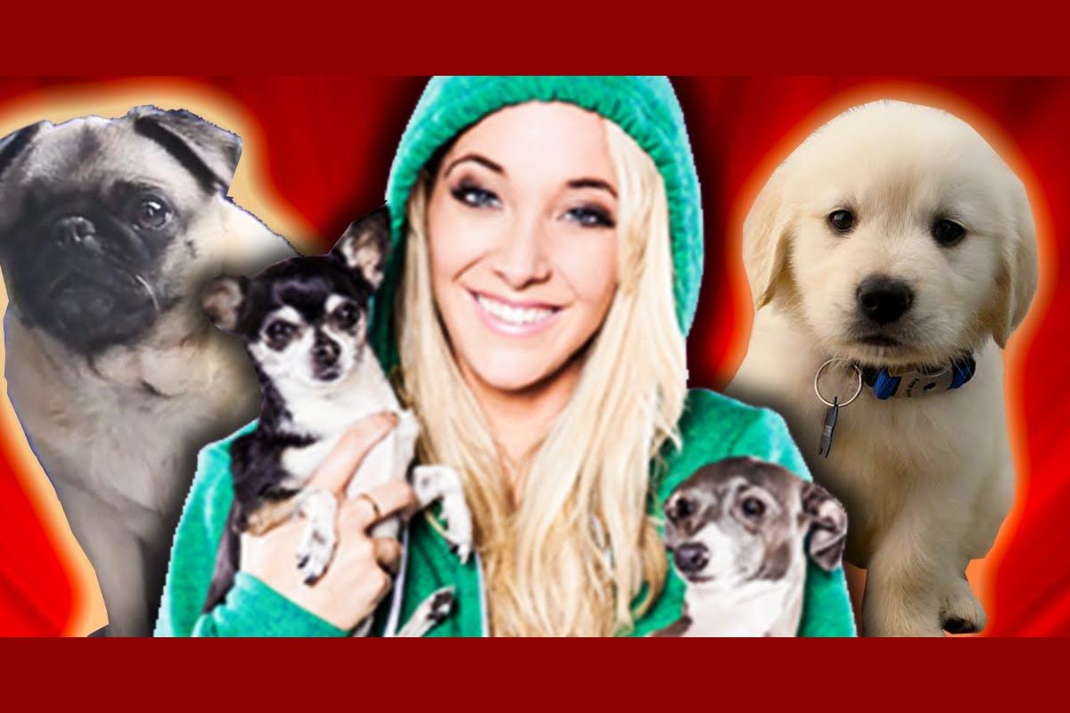 We Know Which Dog You Look Like Based On Your Favourite YouTuber