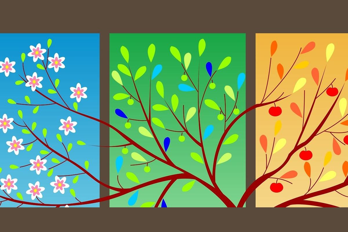 Which season are you?