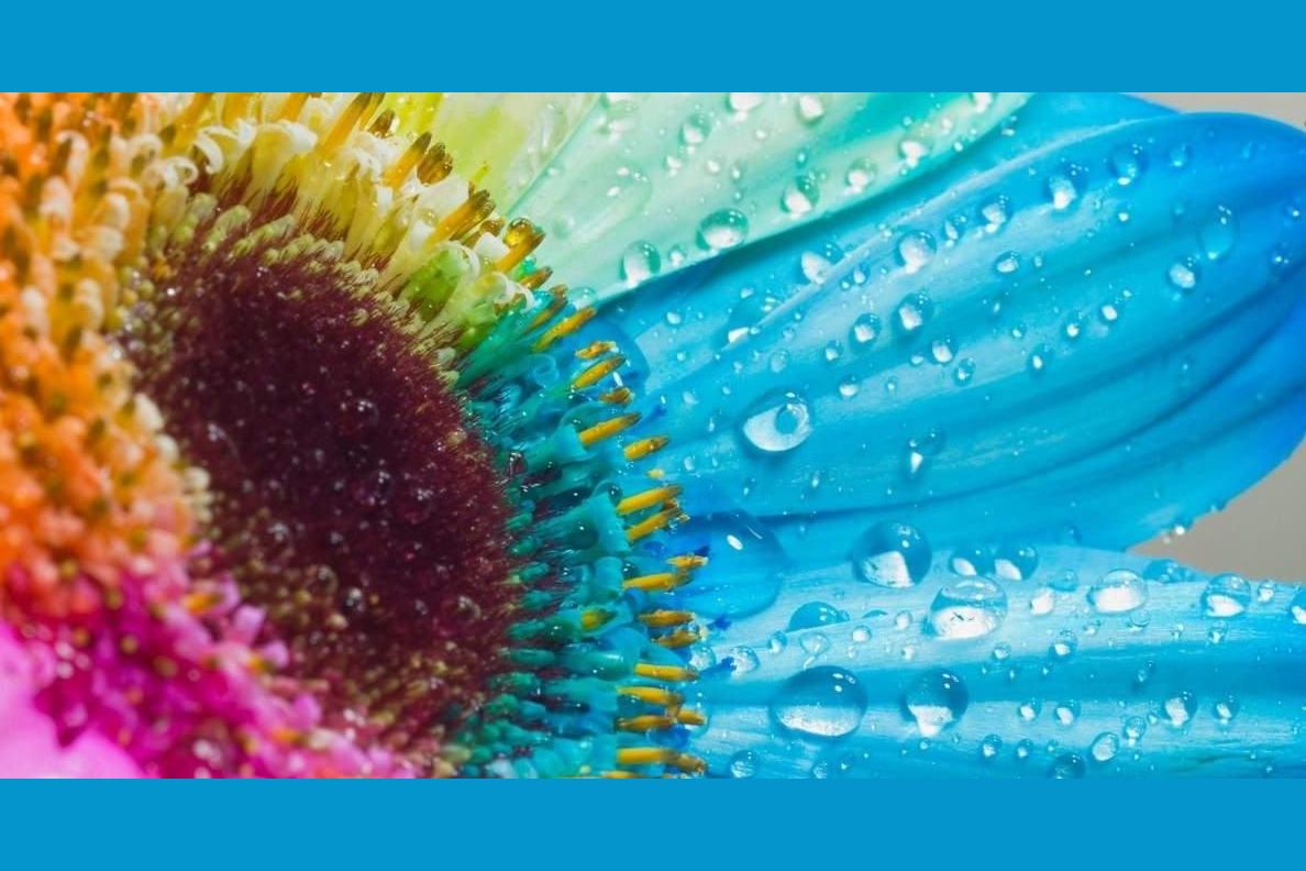 What's your favorite color?