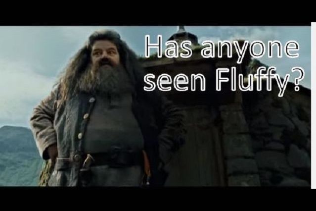 How Well Do You Remember Hagrid's Pets?