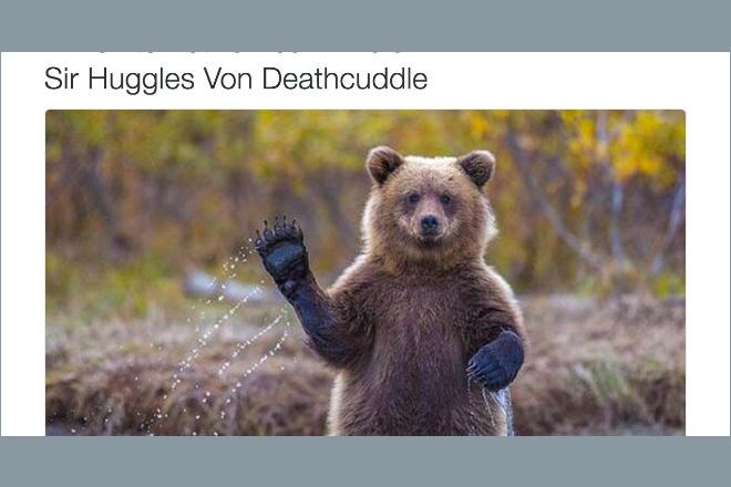 #TheInternetNamesAnimals Is Renaming Animals And You Have To See Their ...