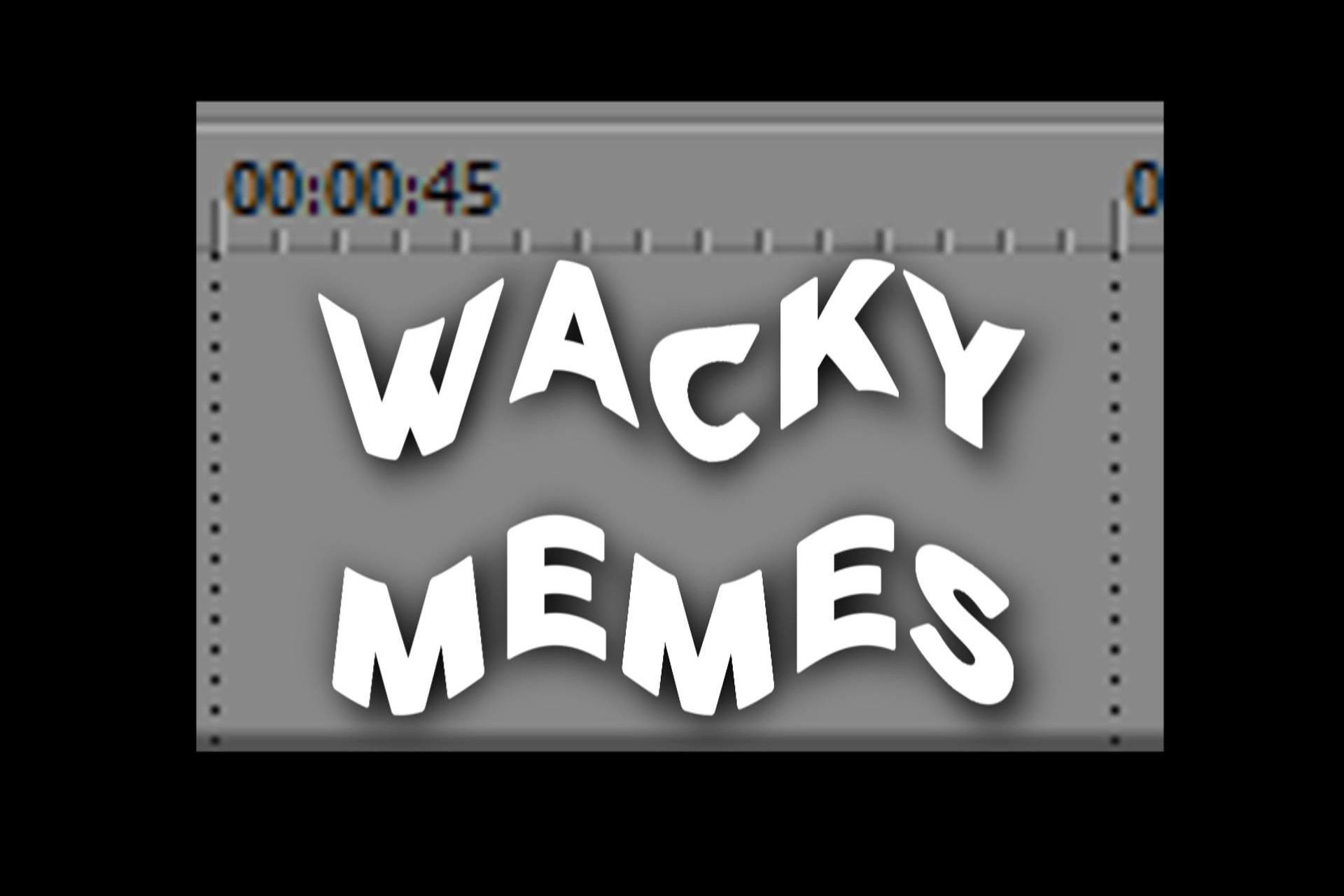 Wacky meme é a melhor coisa que a vida vai te dar em 2016