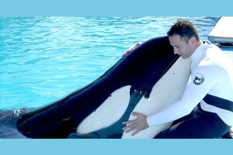 How well do you Know "Shamu"?