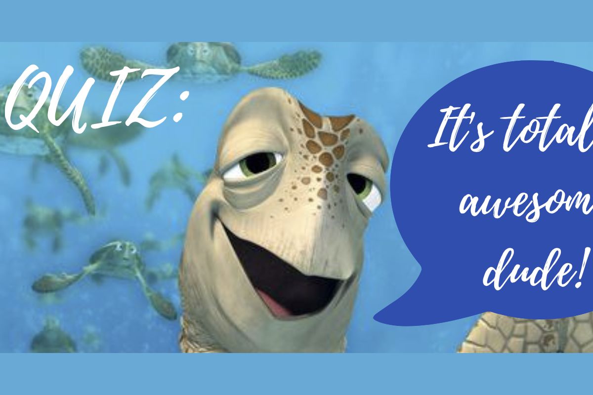 QUIZ: Famous turtles how many can you get right?