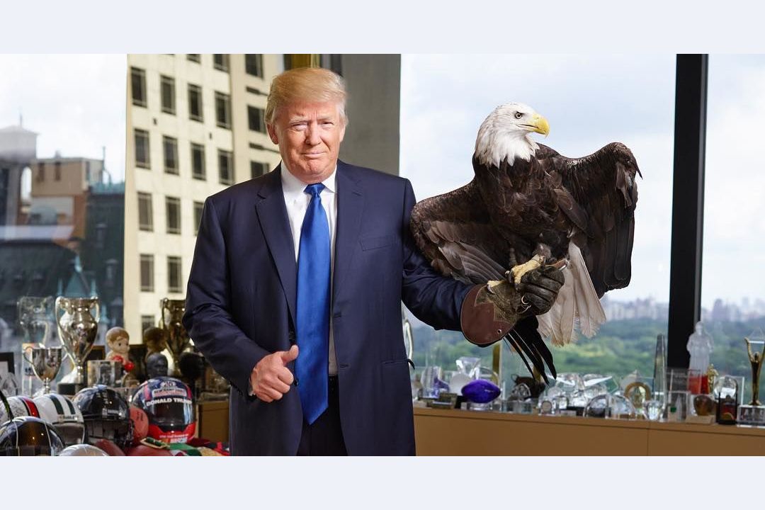 Donald Trump Got Told Off By A Bald Eagle And It's Amazing.