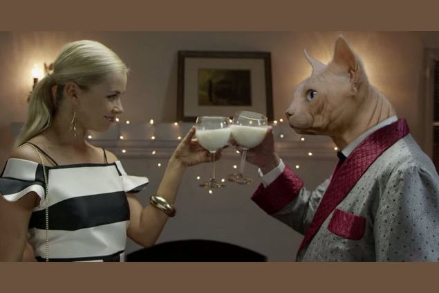 Cats Take Over The World! The Funniest Cat Music Video Ever!