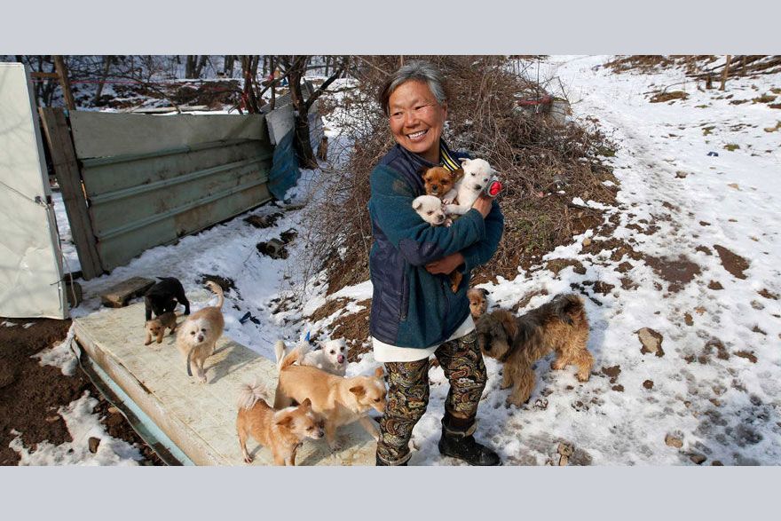 You Won't Believe How Many Dogs This Woman Has Rescued