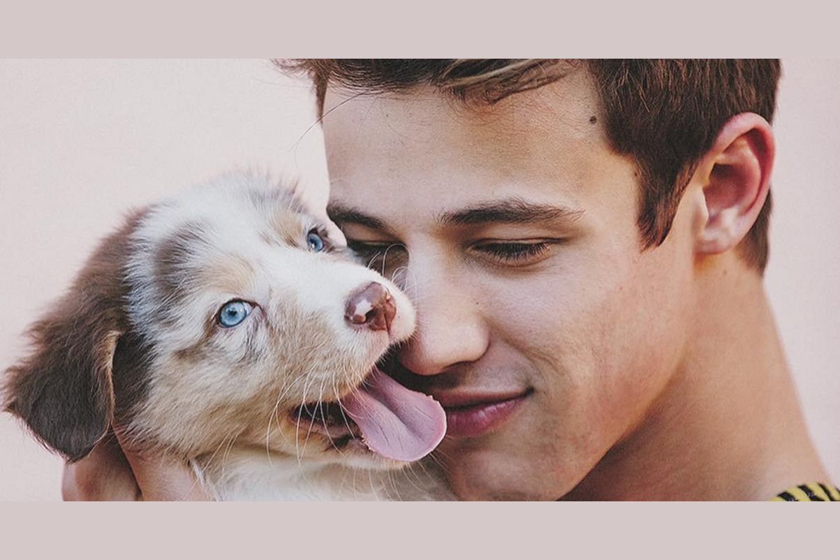 Which Cute Boy With a Puppy Do You Need in Your Life Right Now?