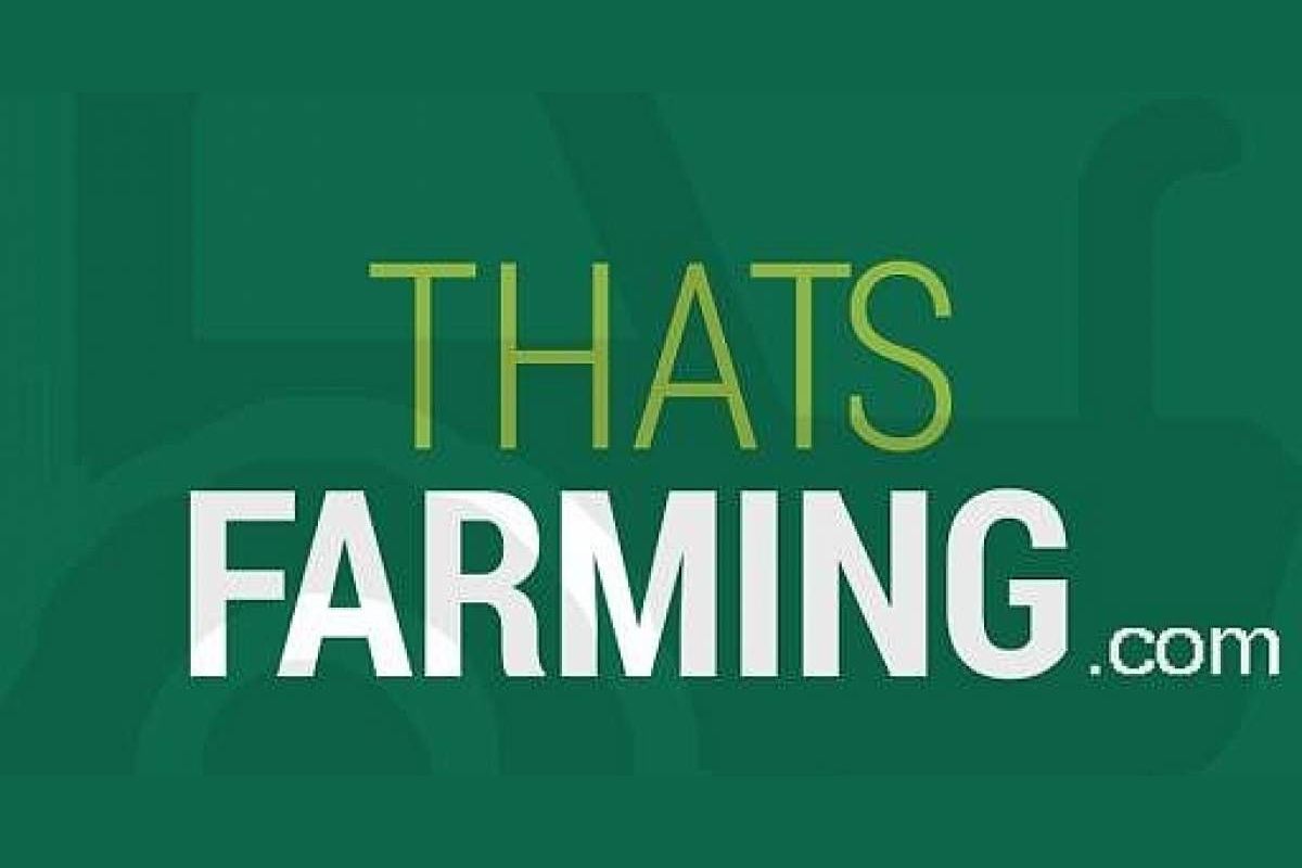 What type of farming best suits you?