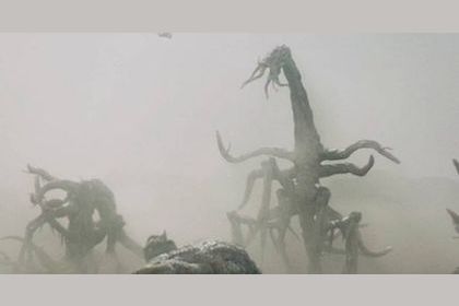 Big Bad Monster Movies to Watch