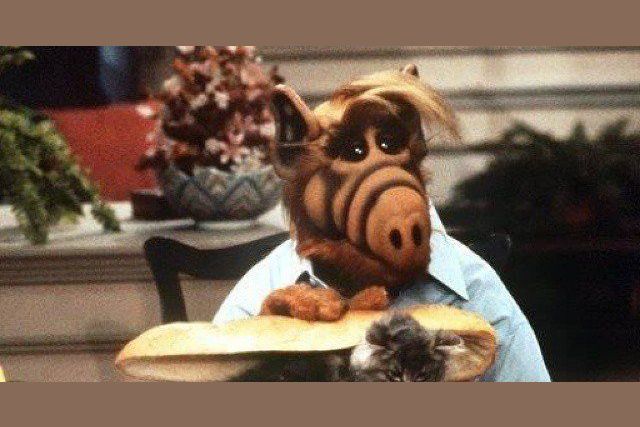 TEST ¿Cuánto recuerdas de la serie 'Alf'?