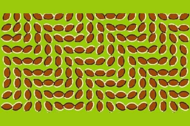 10 Insane Optical Illusions That Will Blow Your Mind