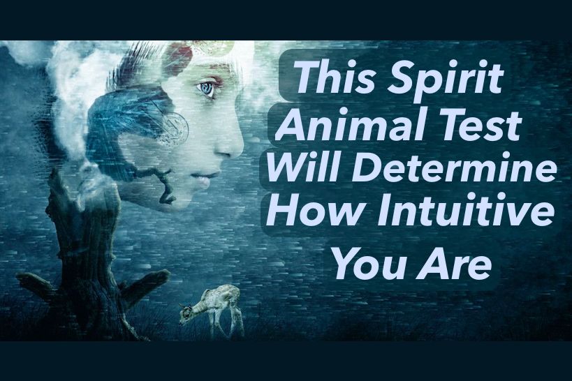 This Spirit Animal Test Will Determine How Intuitive You Are