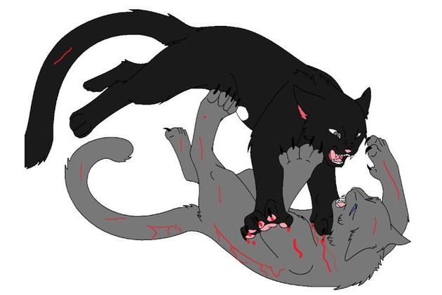 warrior cats fighting