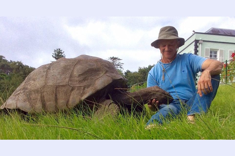 Ancient Tortoise Gets Youthful Energy From New Diet