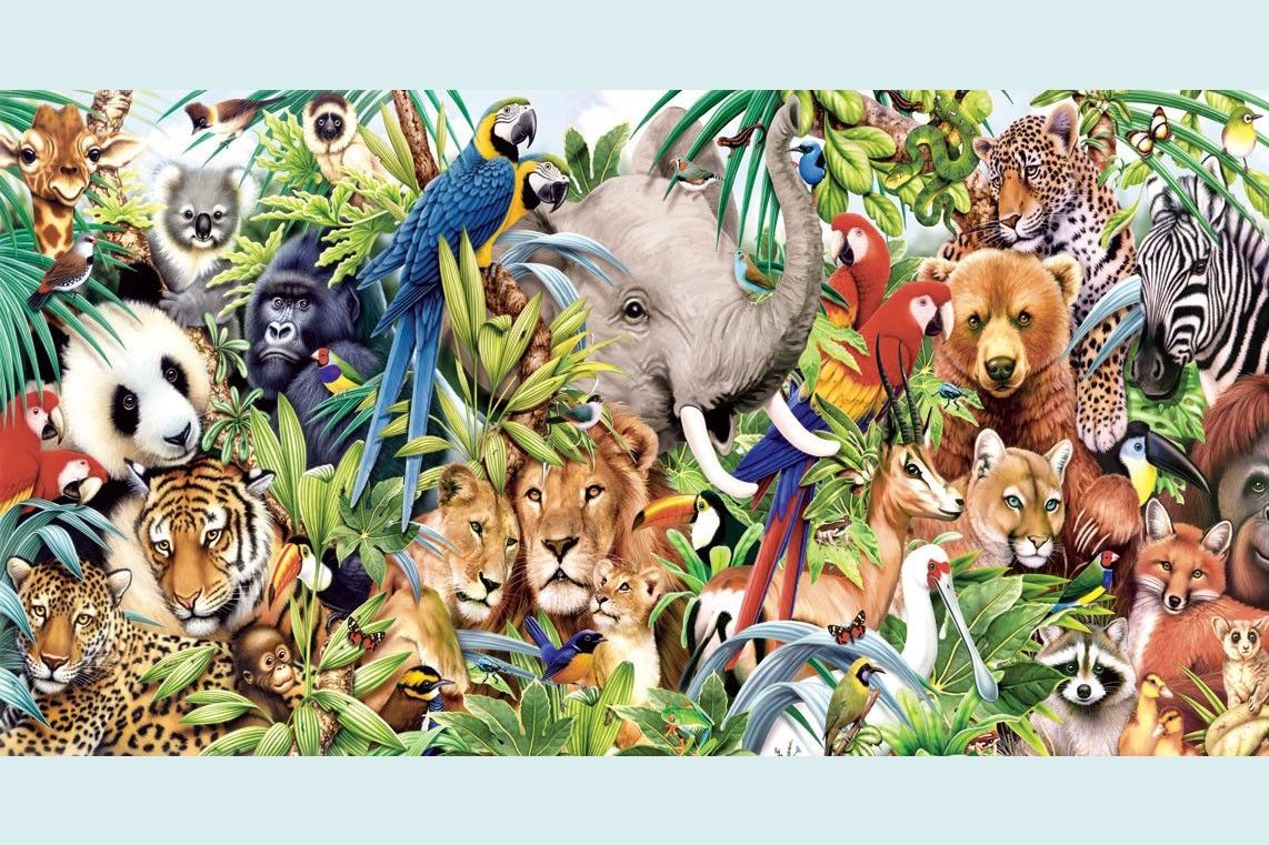 What is you Spirit Animal? What is you Spirit Animal?