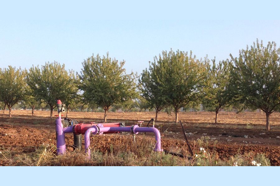 3 Ways the Middle East is Solving Their Water Problem in the Desert