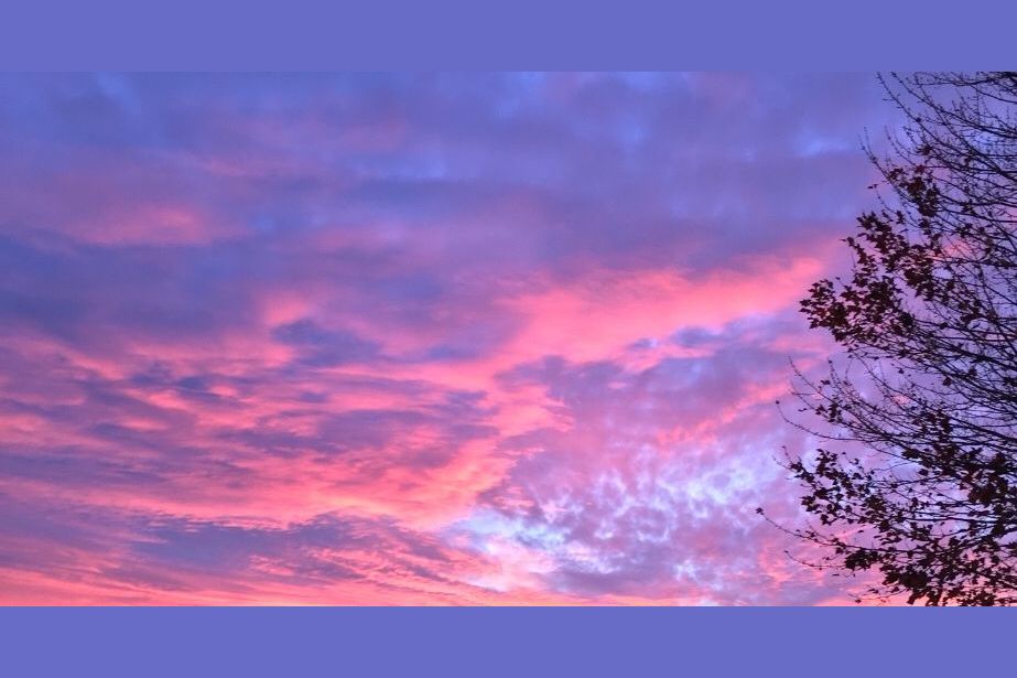 Top 10 Fan Photos of the Week