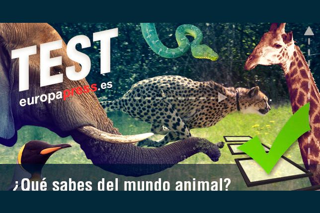 ¿Eres el que más sabe de animales? ¡Demuéstralo!