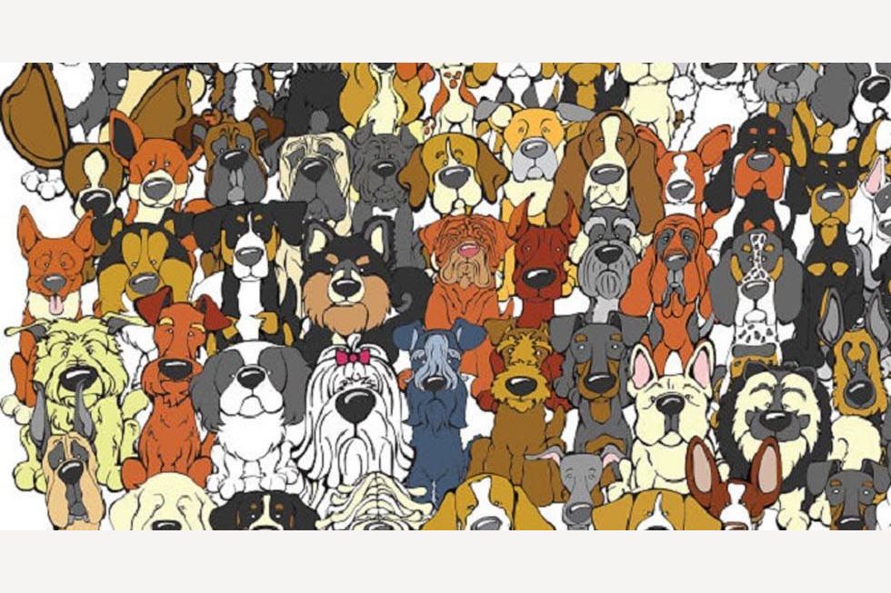 How Quick Can You Spot The Hidden Panda?