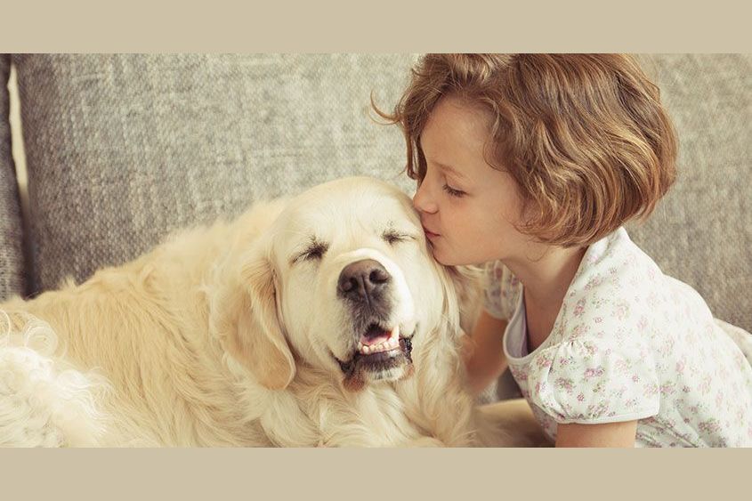 Are you a dog lover?