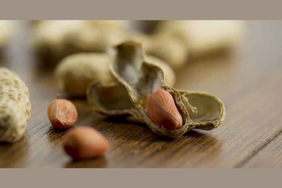 When will you feed your children peanuts?