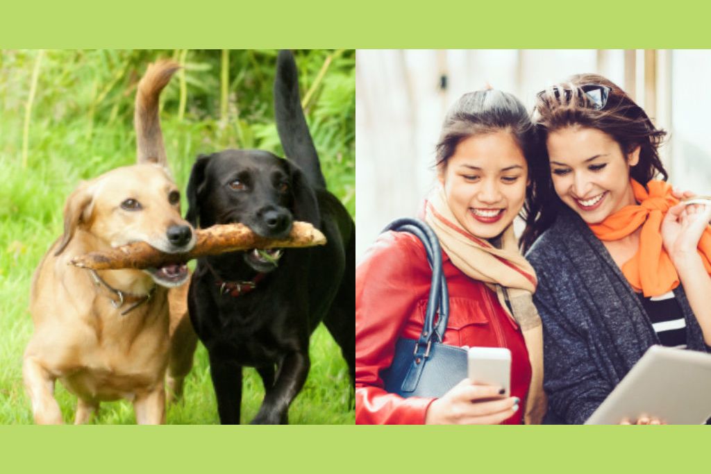 Which Puppy Pair Describe You and Your Bestie?