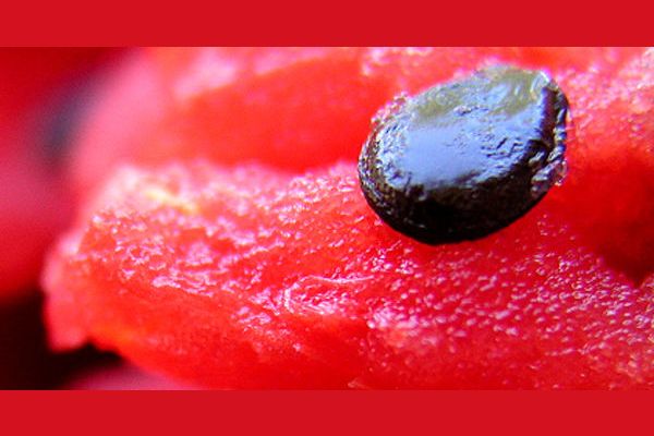 Can You Recognize The Object By The Extreme Close-Up?