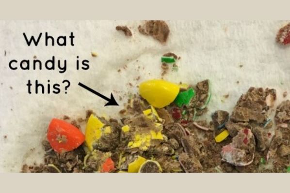Can You Recognize These Beloved Smashed Candies?
