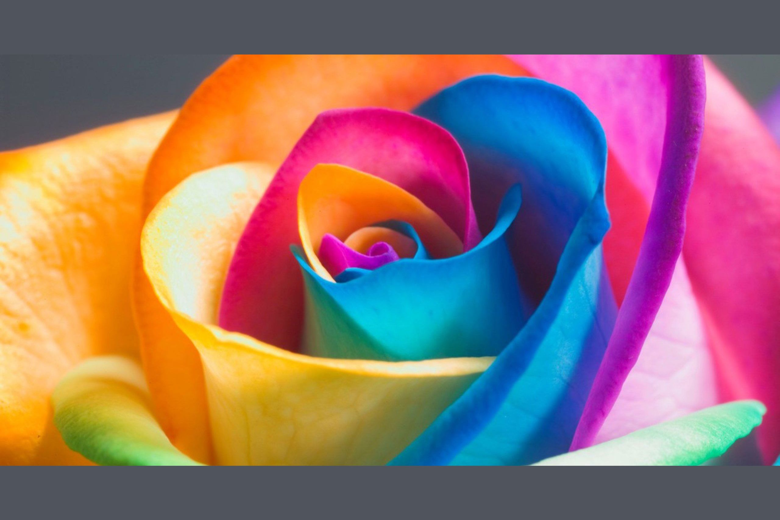 Which color best represents you?