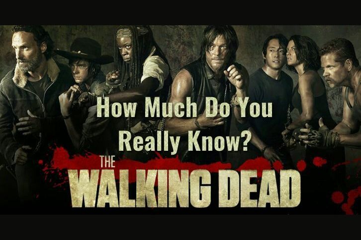 Only The Biggest And Most Loyal TWD Fans Can Pass This Test!