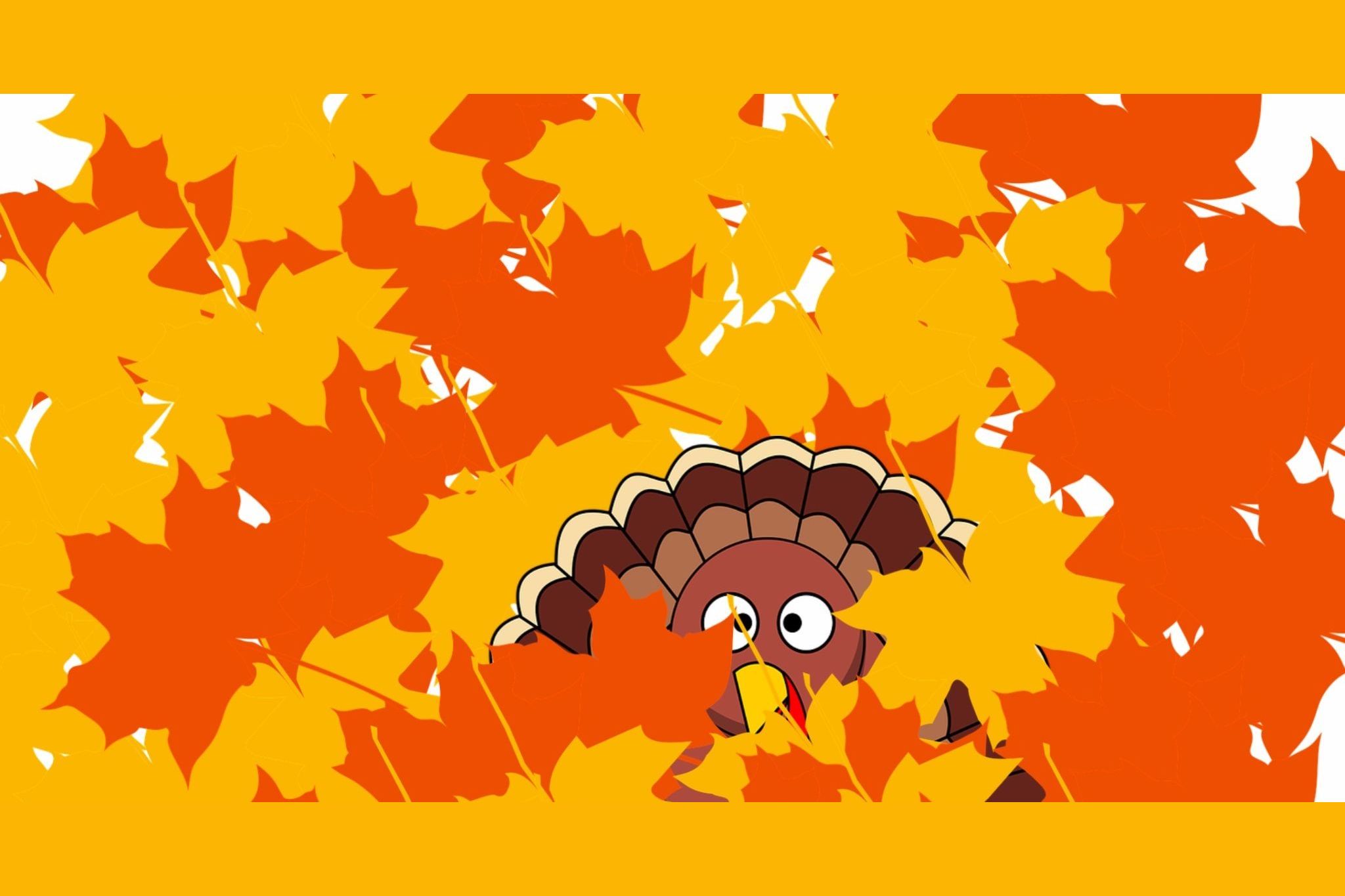Can You Hunt Down The Thanksgiving Turkey Hiding In Each Of These Images?
