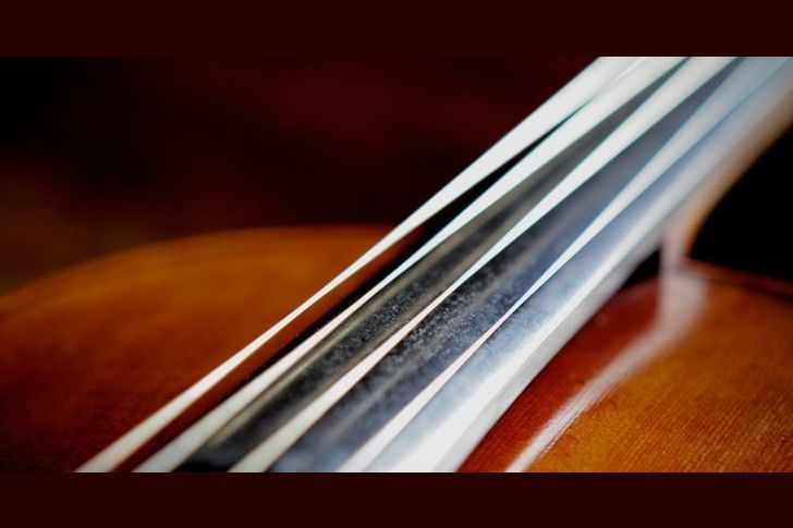 what orchestra instrument should YOU play?