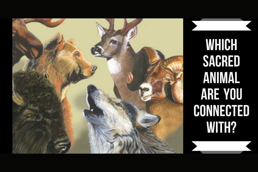 Which Sacred Animal Are You Connected With?