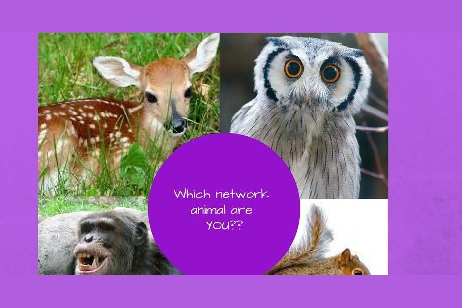 What is Your Network Animal Avatar