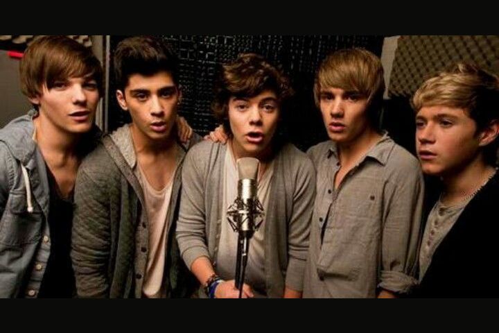 QUIZ: How Well Do You Remember The One Direction Fetus Years?