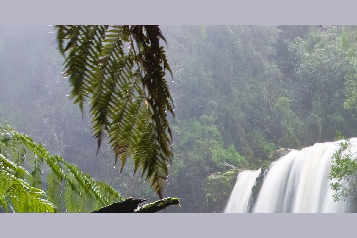 How well Do You Know Environmental Trivia?