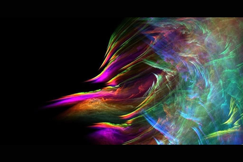 What is your soul animal