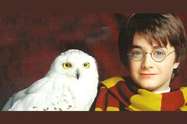 Harry Potter poll