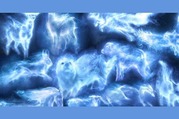what sort of animal would your patronus be?