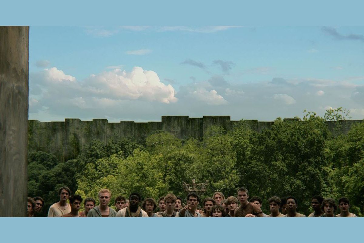 Will you survive in Maze runner