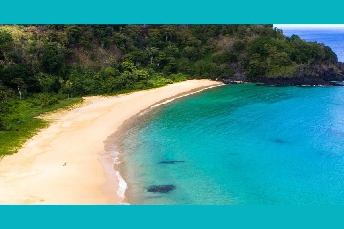 ¿Qué playa deberías visitar?