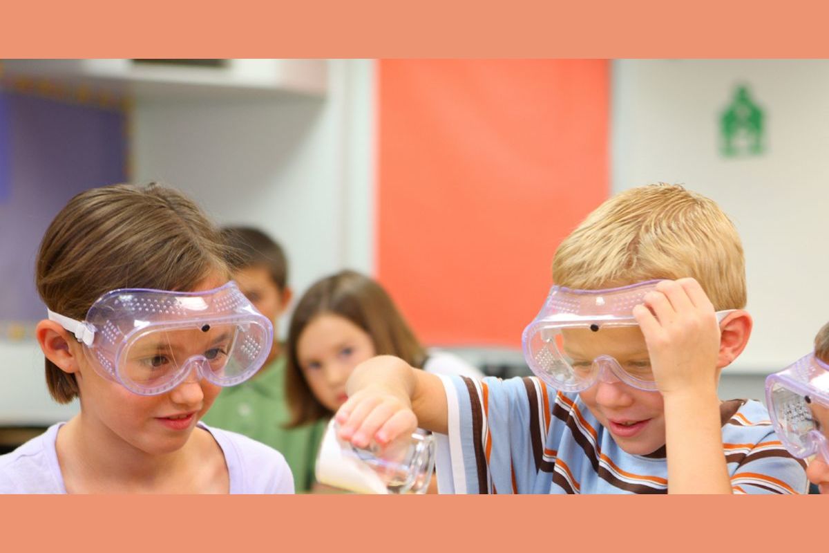 Can you answer these Year 6 Science SATS questions?