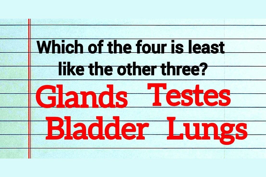 Try Acing The Trickiest IQ Test Ever