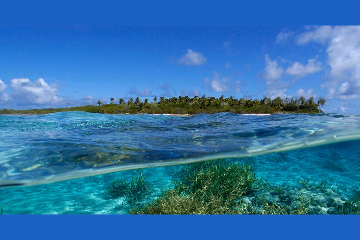 ¿Realmente conoces al océano?